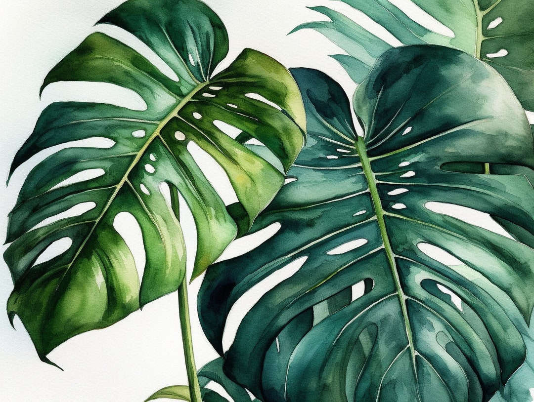 100 Watercolour Monstera Jungle Leaves, Digital Downloads, Tropical ...