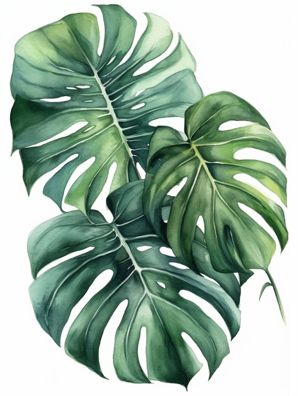 100 Watercolour Monstera Jungle Leaves, Digital Downloads, Tropical ...