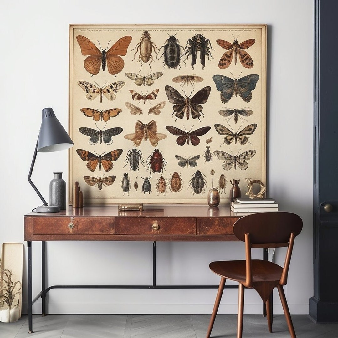 100 Vintage Insect Digital Downloads, Entomology Wall Art, Antique Bug ...