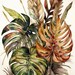 100 Watercolour Monstera Jungle Leaves, Digital Downloads, Tropical ...