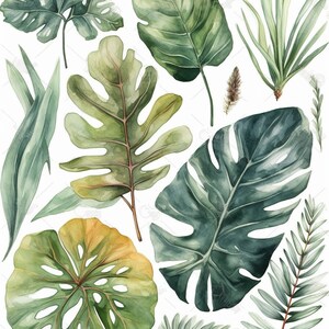100 Watercolour Monstera Jungle Leaves, Digital Downloads, Tropical ...