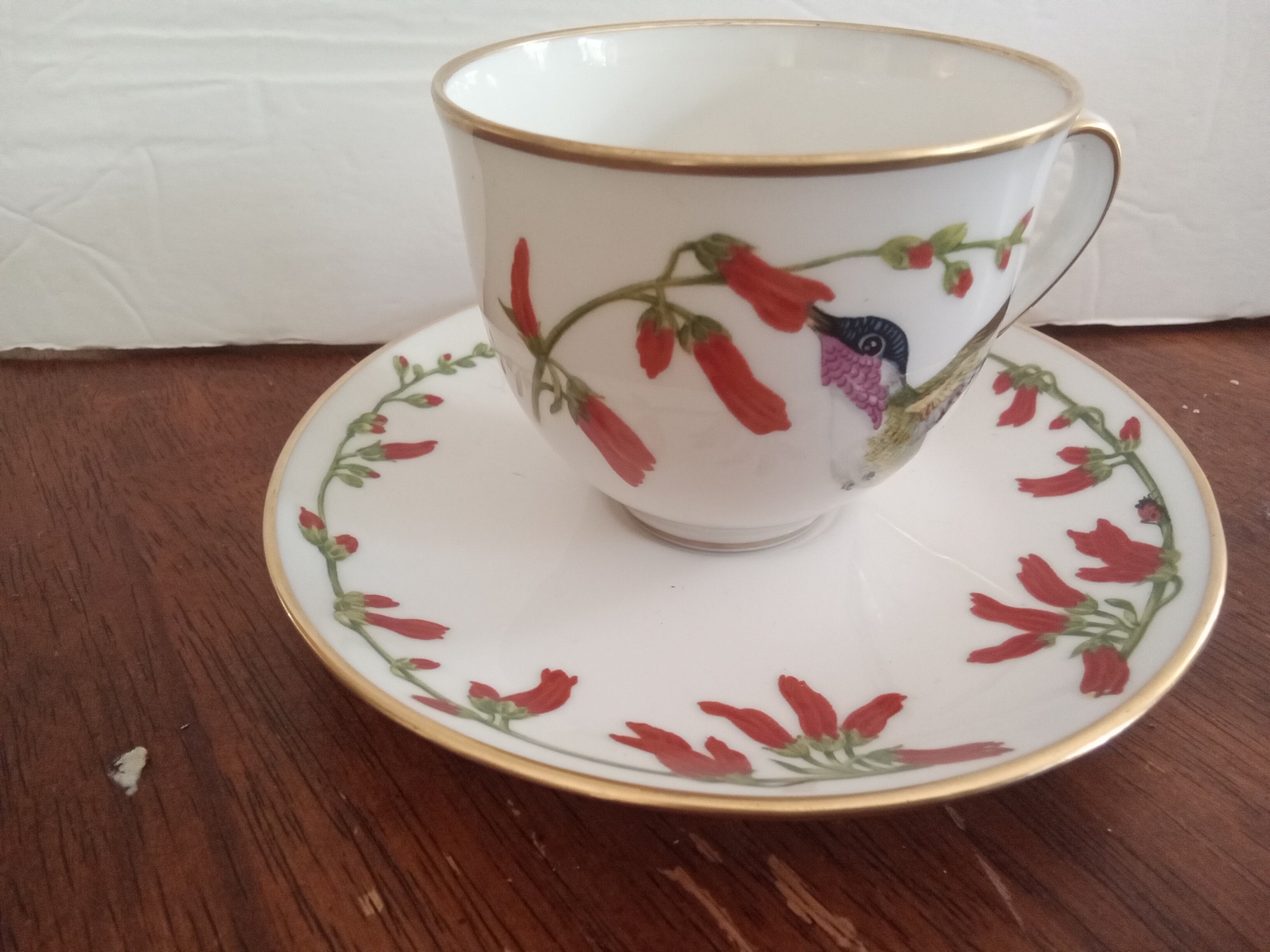 Tea Cup and Saucer, Hummingbirds of the World, Bavarian Porcelain ...
