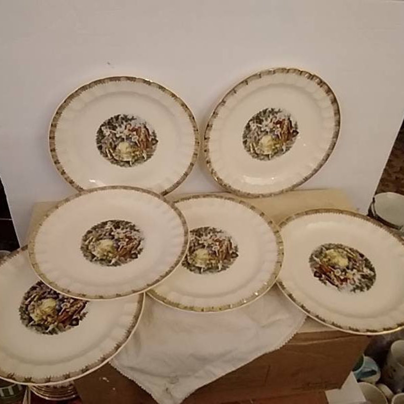 The Cronin China Co Minerva Ohio National Brotherhood Operative Potters ...