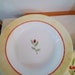 Rare Find Corelle Ultra Radiance Pattern 4 Dinner Plates 10.75" & 4 ...