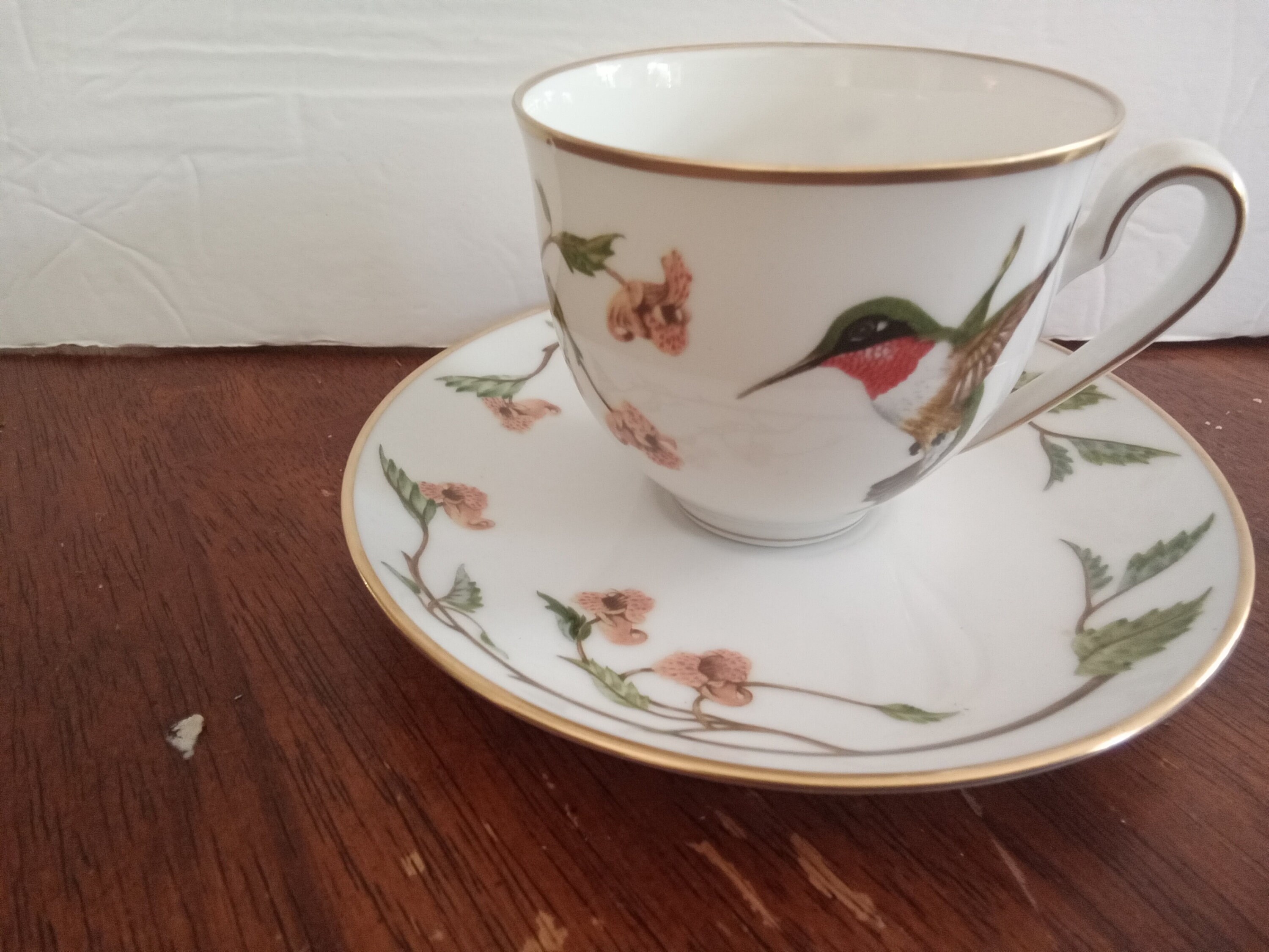 Tea Cup and Saucer, Hummingbirds of the World, Bavarian Porcelain ...