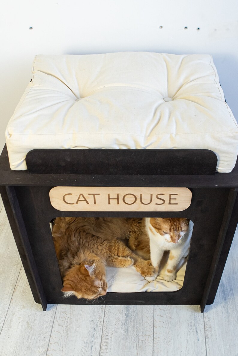 Personalized Cat House Cat House Indoor Cat House With Etsy