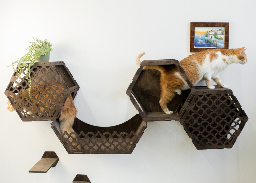 Hexagon Cat Shelves, Hexagon Cat Wall, Cat Hexagon Wall Furniture, Cat ...