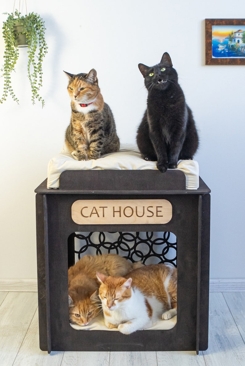 Personalized Cat House, Cat House Indoor, Cat House With Pillows, Cat ...