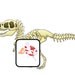 24 Cute Dinosaur CVC Words. Match the Bones to the Dinosaurs. laminate ...