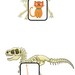 24 Cute Dinosaur CVC Words. Match the Bones to the Dinosaurs. laminate ...
