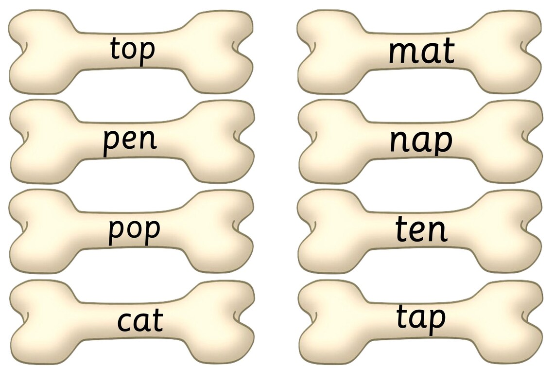 24 Cute Dinosaur CVC Words. Match the Bones to the Dinosaurs. laminate ...