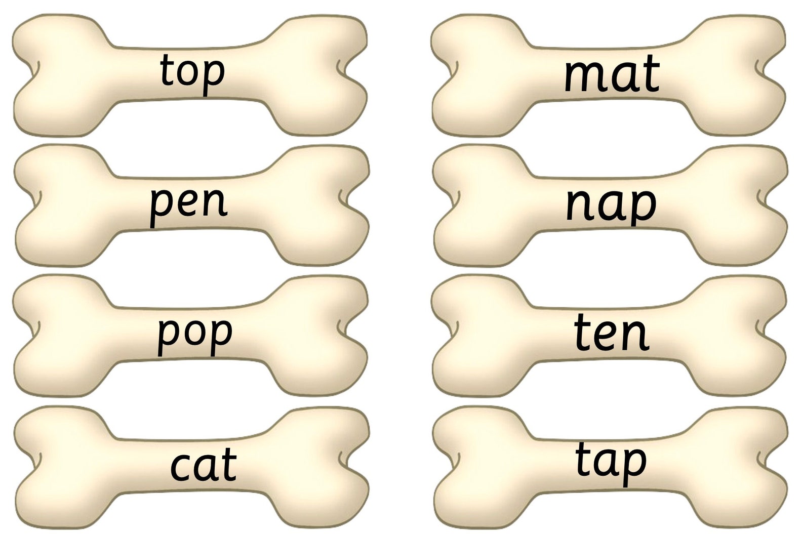 24 Cute Dinosaur CVC Words. Match the Bones to the Dinosaurs. laminate ...