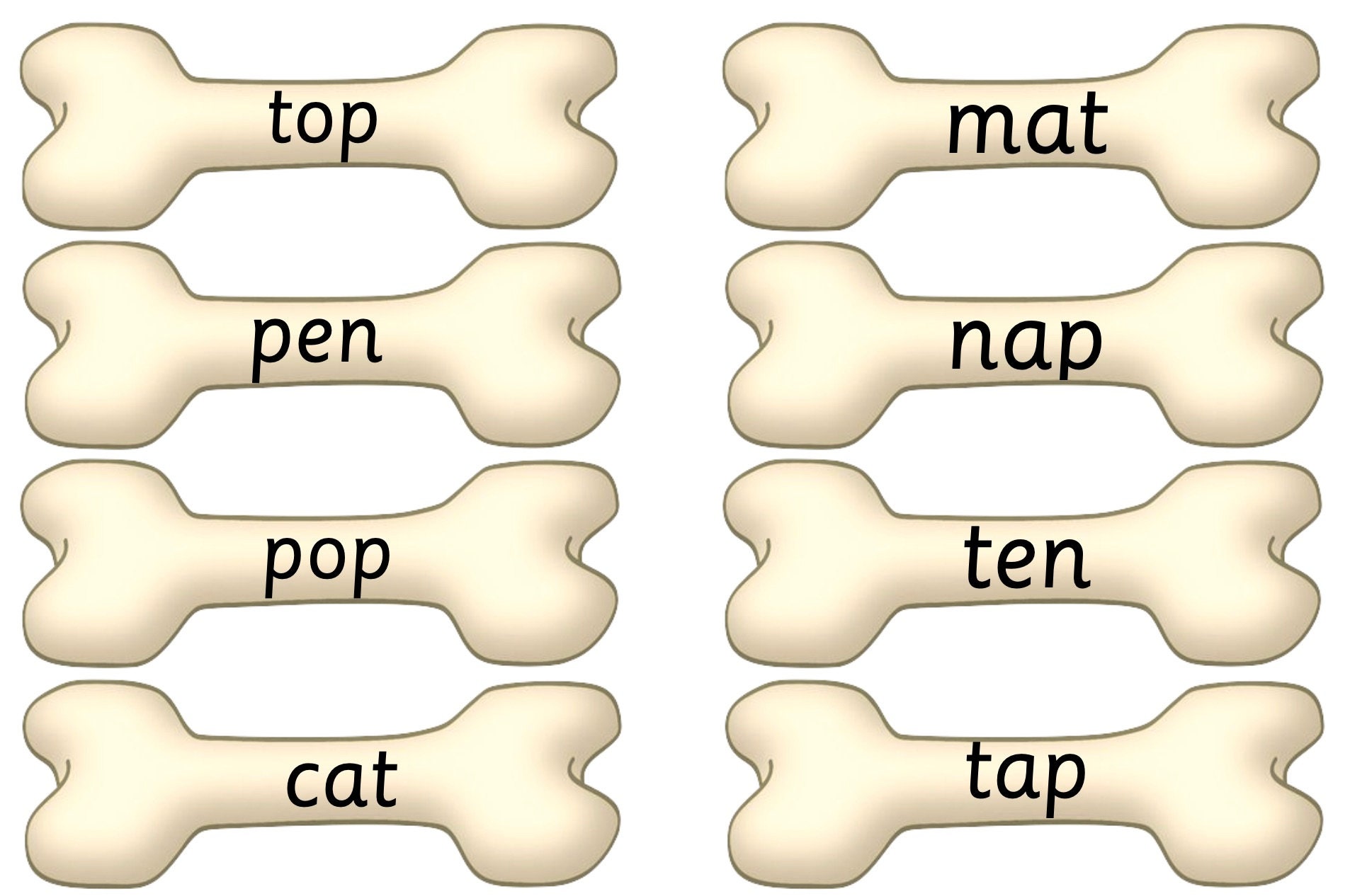 24 Cute Dinosaur CVC Words. Match the Bones to the Dinosaurs. laminate ...
