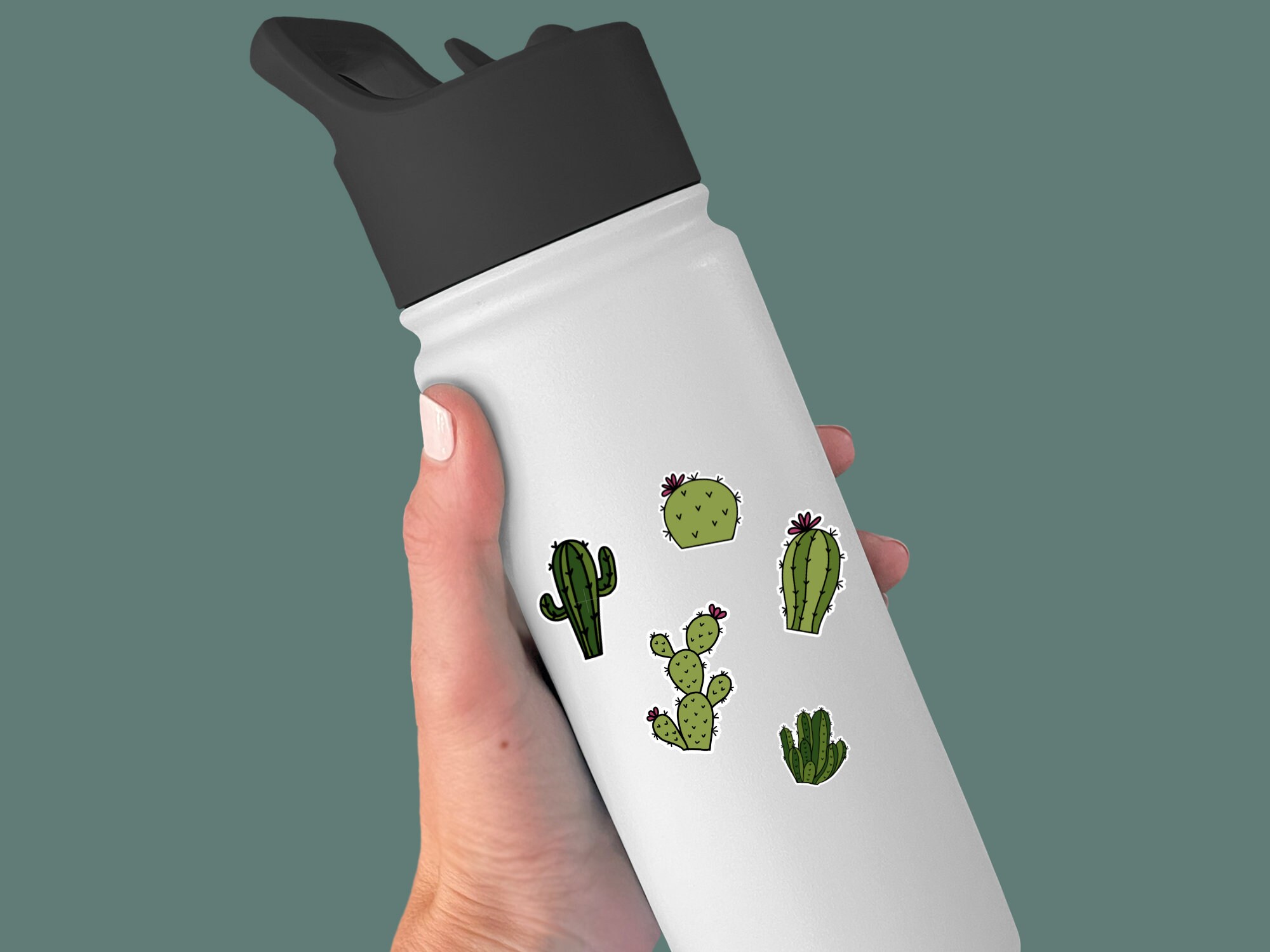 Mini Cacti Sticker Pack 10 PCS Waterproof Sticker Tiny - Etsy Australia