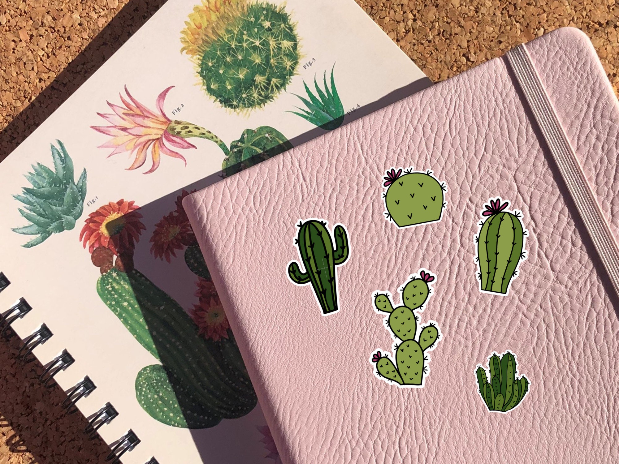 Mini Cacti Sticker Pack 10 PCS Waterproof Sticker Tiny - Etsy Australia