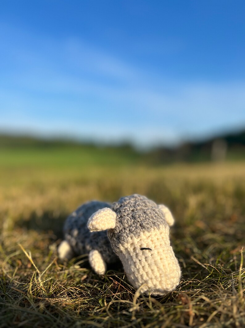 Amigurumi Animal Patterns INSTANT DOWNLOAD Cute Crochet - Etsy