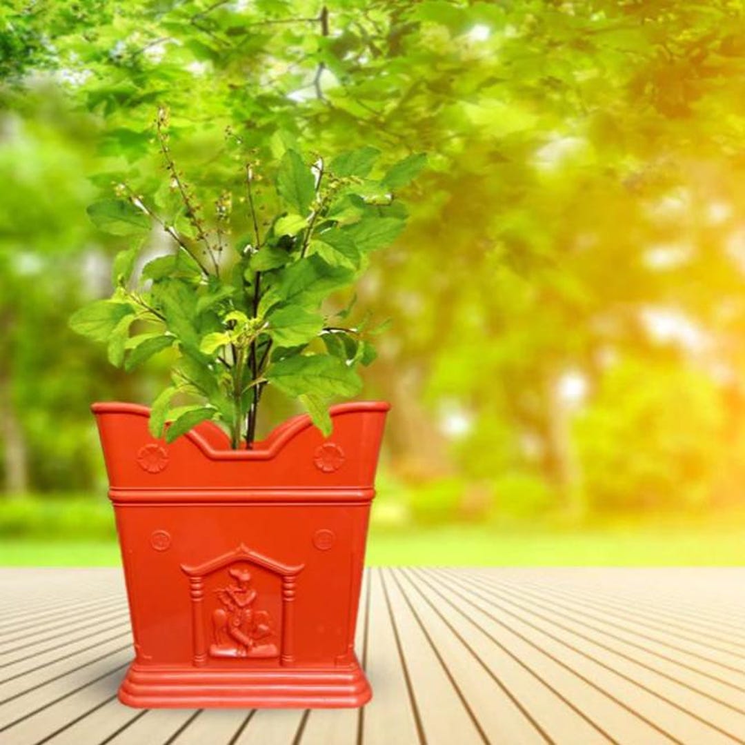 Tulsi Plant Pot With Tray - Etsy