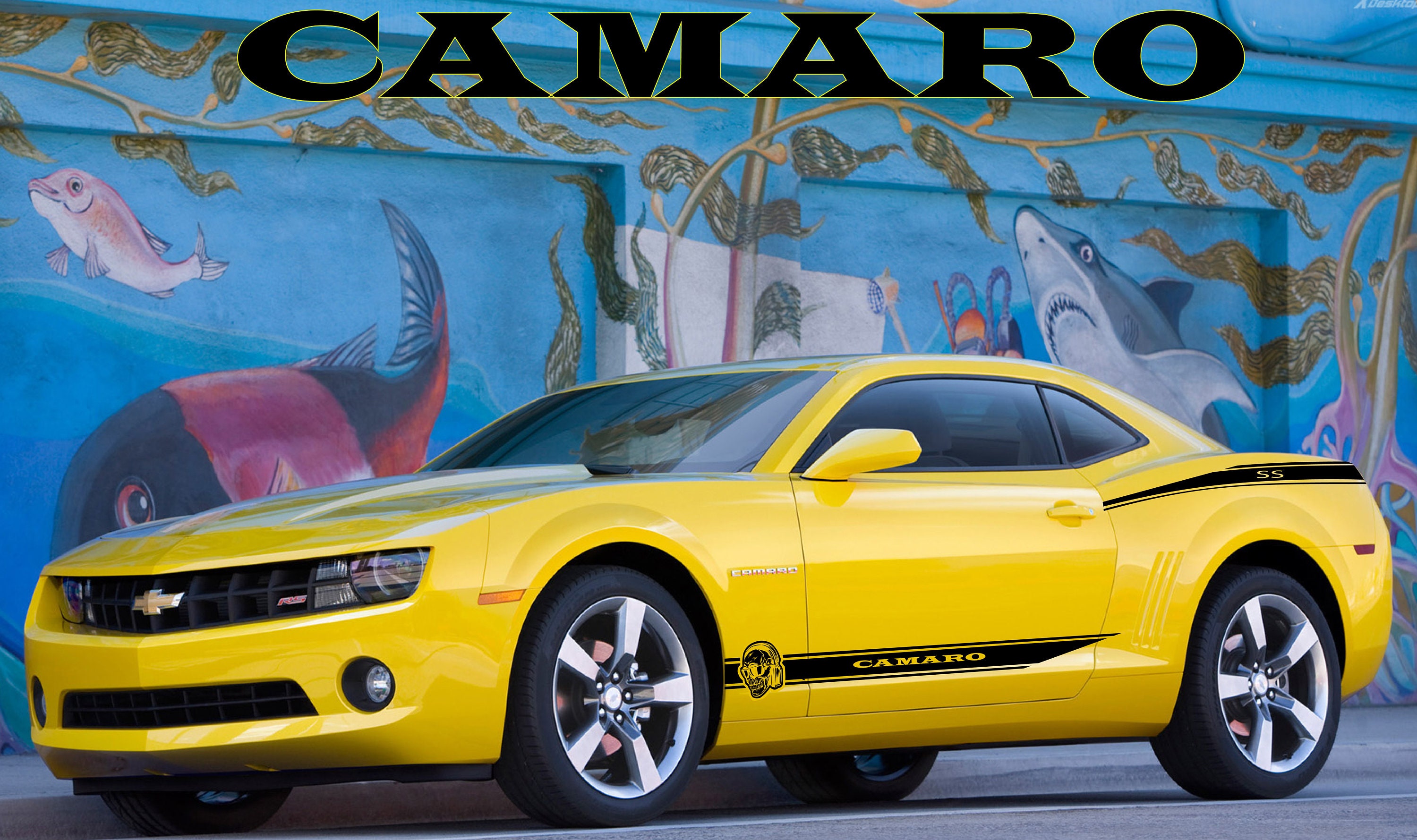 Exclusive Skull Set of Stickers Decal Stripe Body Kit Compatible With ...