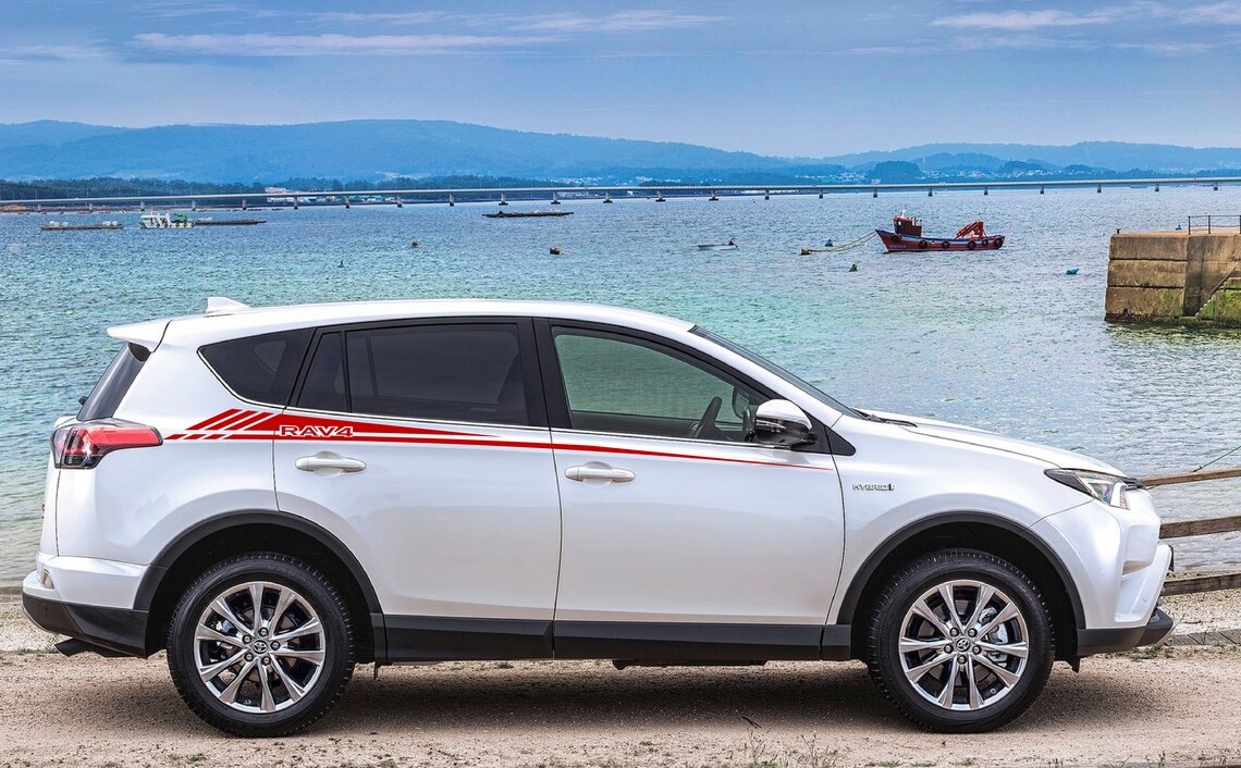 2x Side Door Stripe Custom Kit Stickers Set Kit High Quality - Etsy