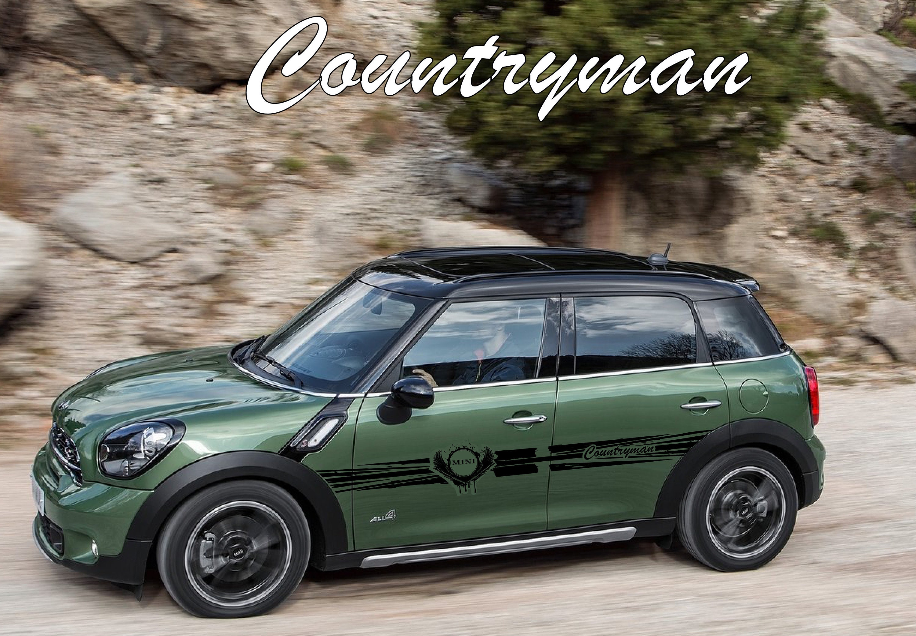 Exclusive Side Door Stripe Custom Kit Stickers Set Kit - Etsy