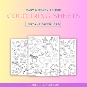 Printable Colouring Sheets, Instant Download A4, for Kids - Animals ...