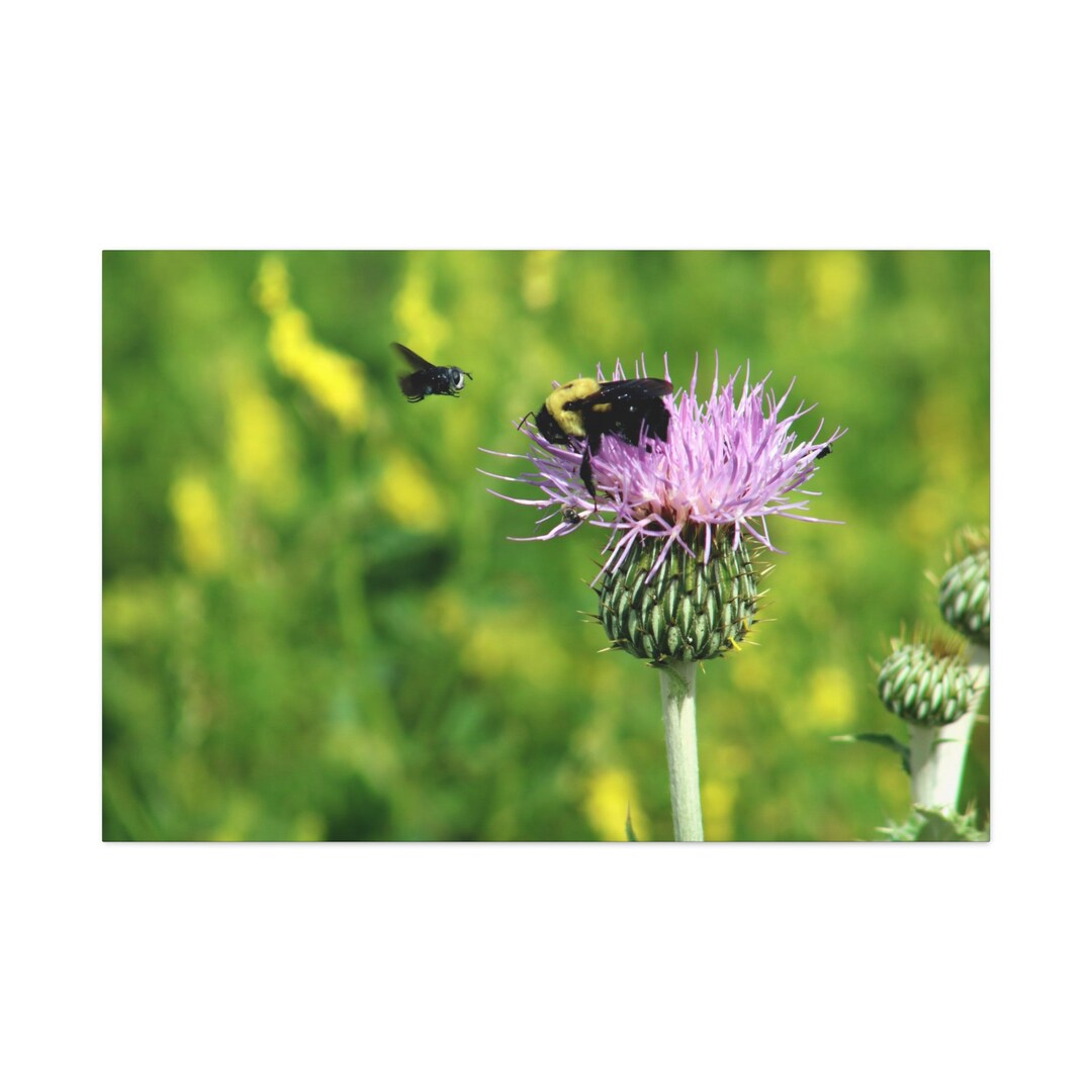 Bumblebee & Friend canvas - Etsy