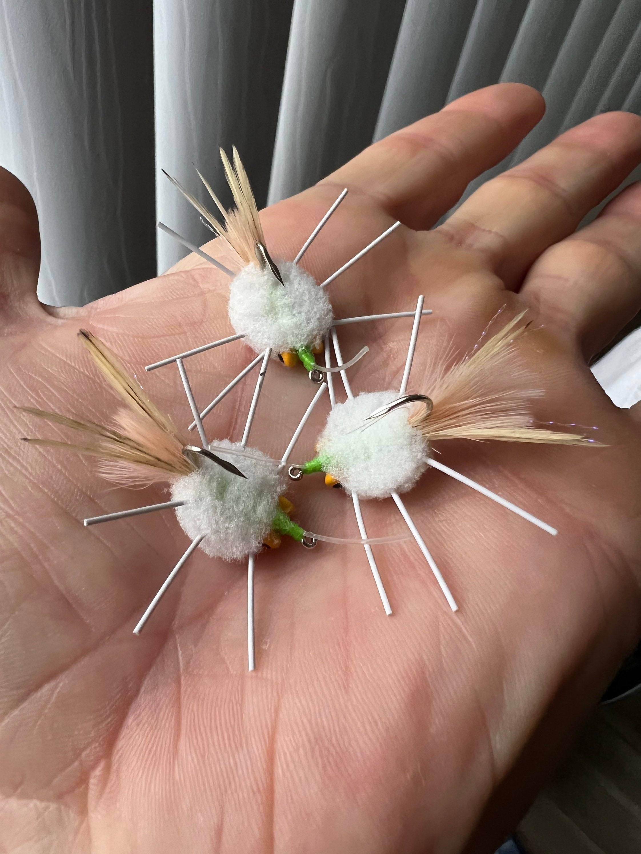 Rag Head Crab White - Etsy