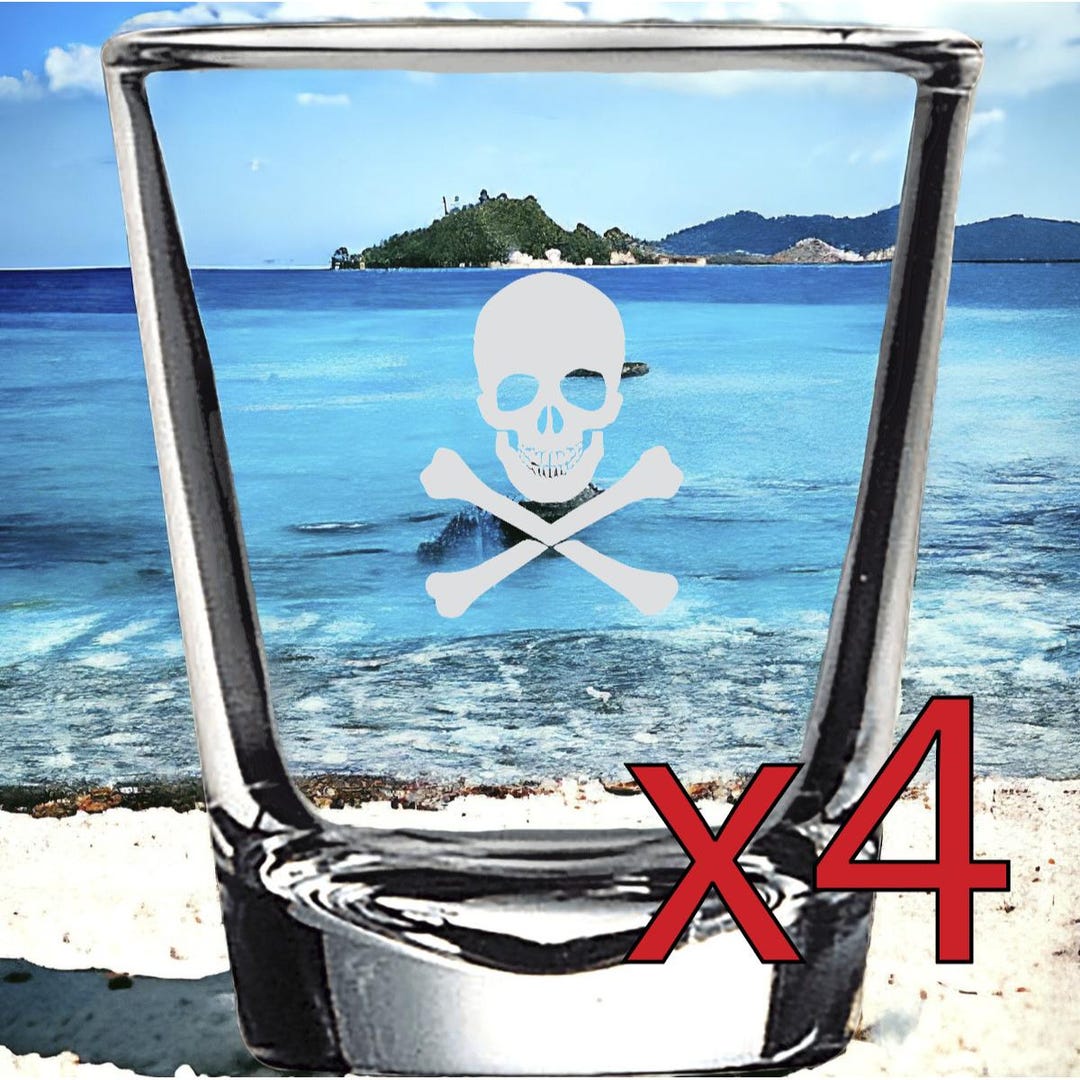 Skull & Crossbones Shot Glasses: Pirate Party Decor, Set of 4 - Etsy