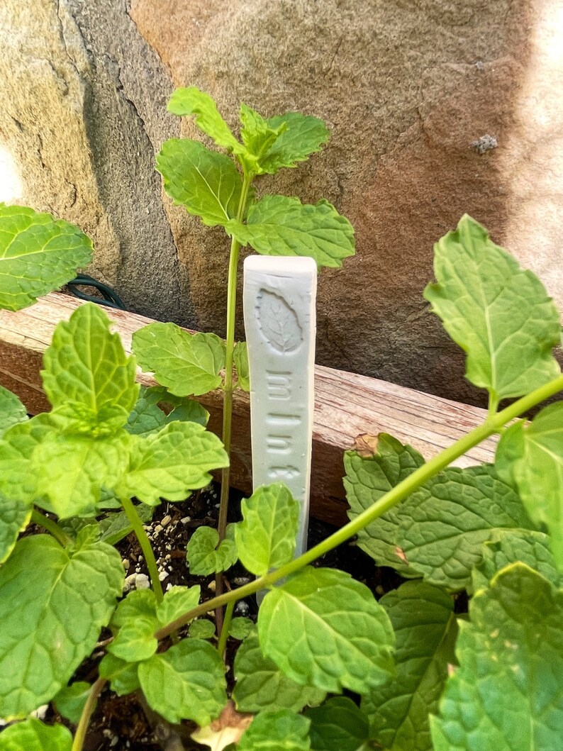 Clay Plant Markers - Etsy