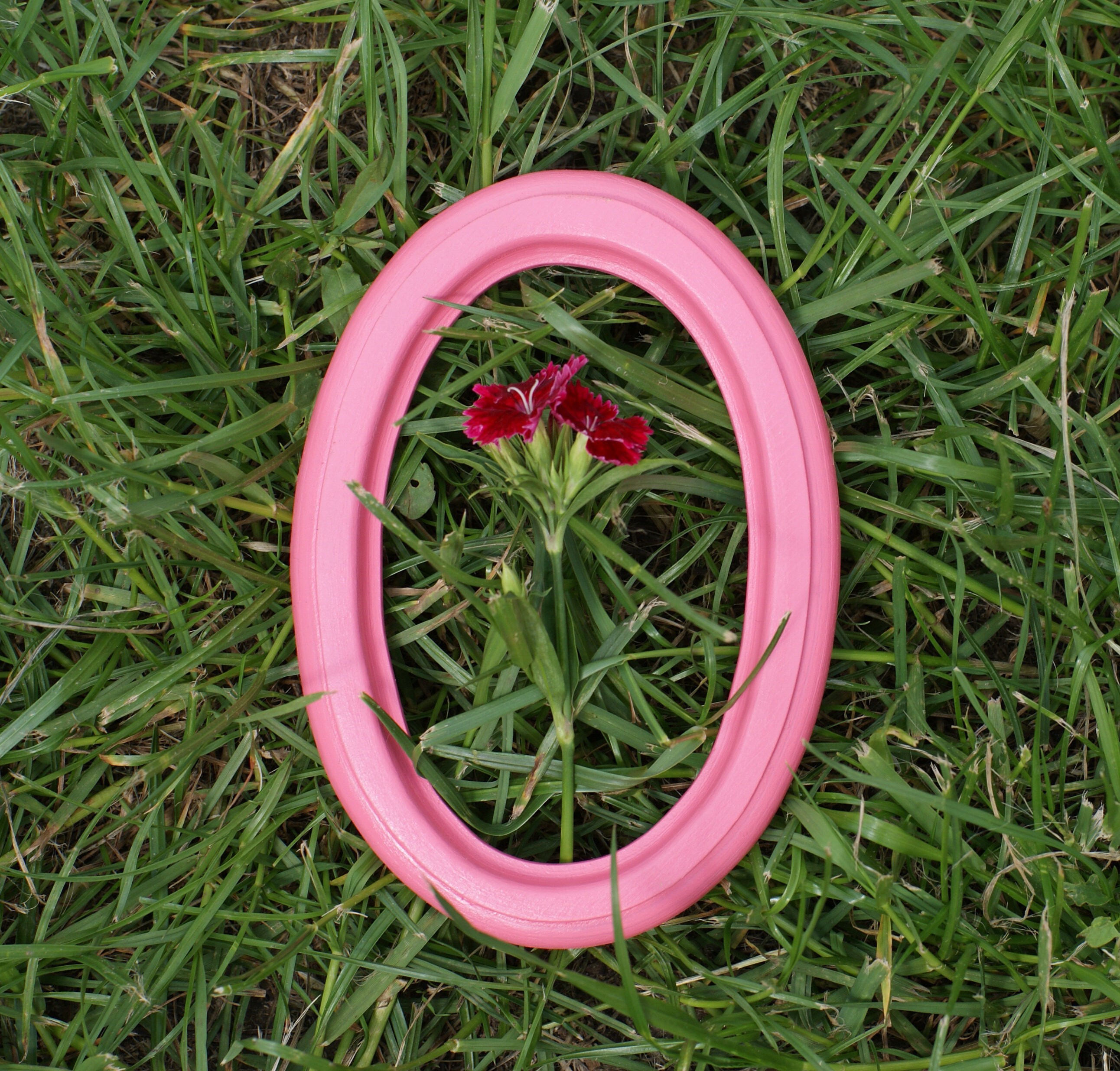 Oval Picture Frame, Oval Photo Frame, Decorative Wooden Frame, Home ...