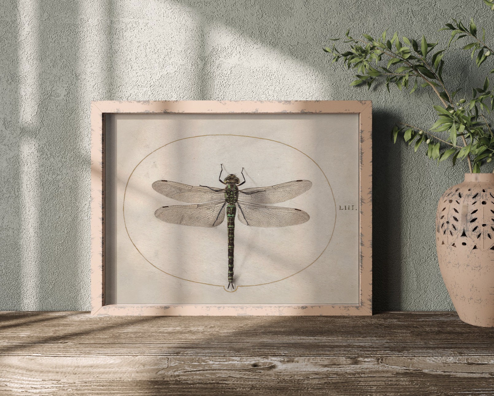 Set of 3 Dark Academia Gallery Wall Art Prints Vintage Victorian Aesthetic Moth Dragonfly ...