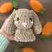 Teeny Tiny Pocket Bunny Crochet Pattern: Low Sew Amigurumi (PDF Pattern ...