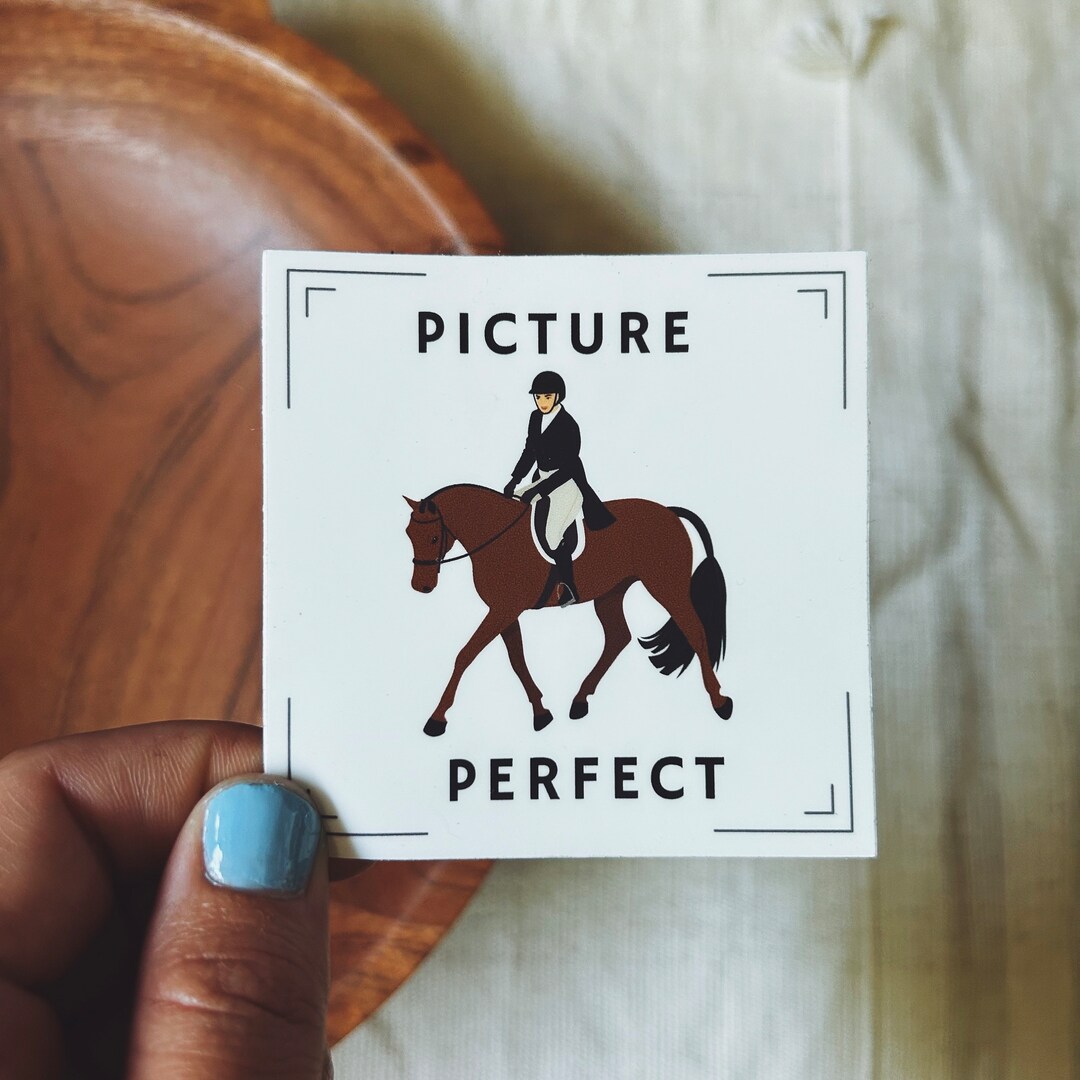 Picture Perfect Hunter Jumping Sticker | Horse Vinyl Decal | Horse ...