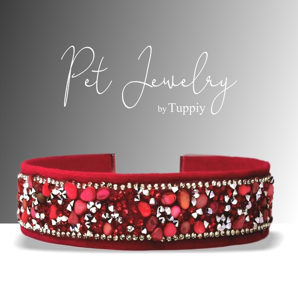 Bling Dog Collar - Etsy