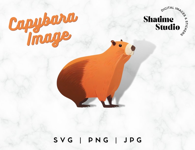Capybara SVG PNG JPG | Cute Capybara | Capybara Clipart | Sitting ...
