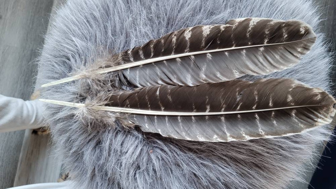 Heritage Turkey Feathers (2 Feathers per Price) - Etsy