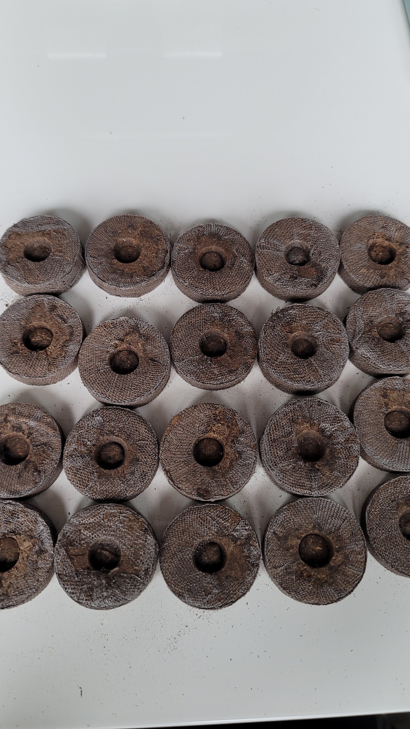 Coconut Coir Pellets Pack of 20 - Etsy Canada