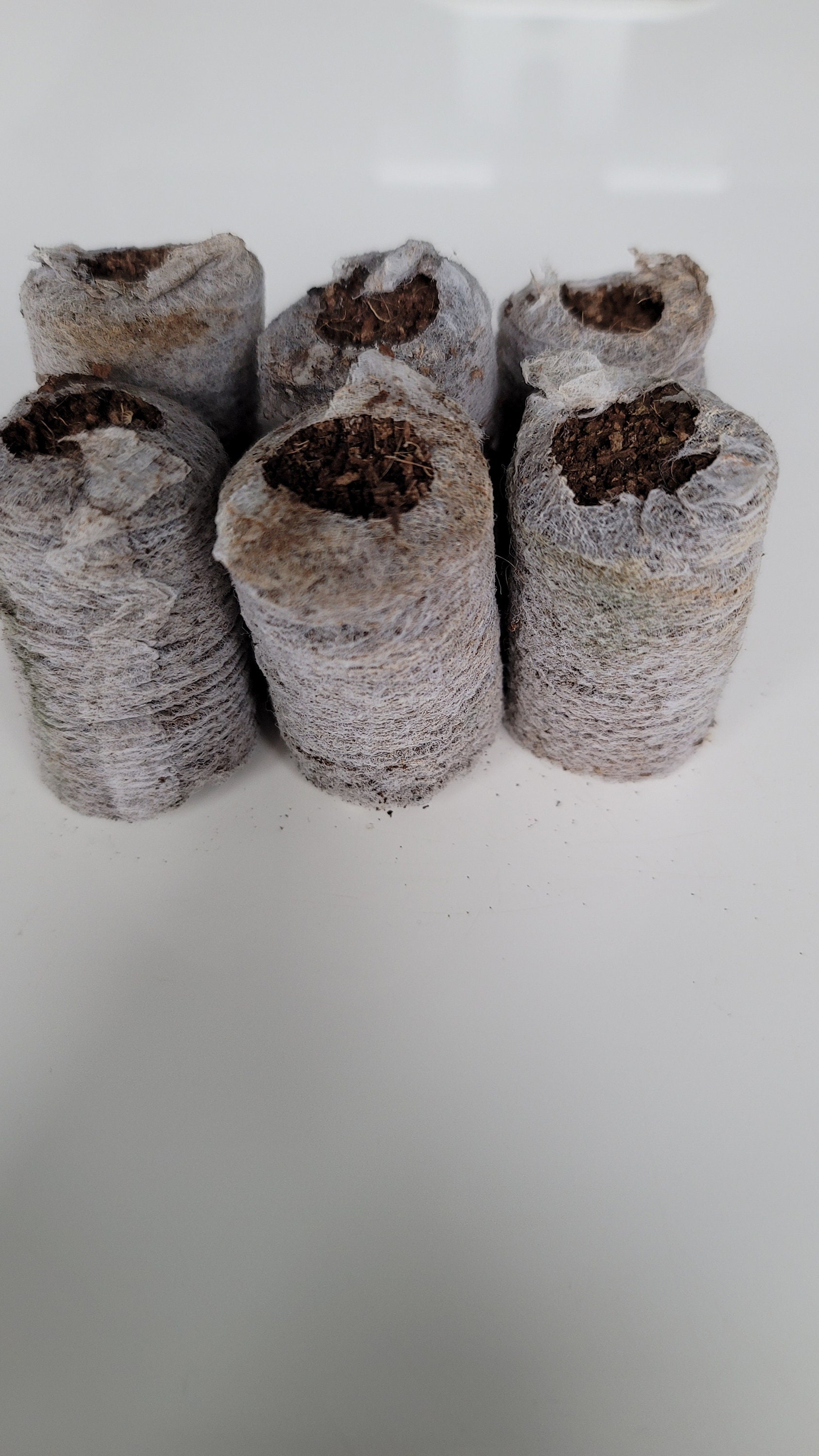 Coconut Coir Pellets Pack of 10 - Etsy