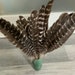 Heritage Turkey Feathers (2 Feathers per Price) - Etsy