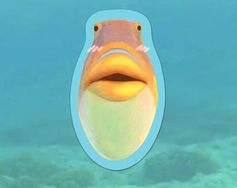 Shrimp Posture Meme Sticker | Matte Water Resistant Sticker | Cute ...