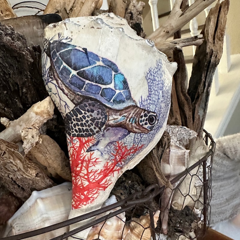 Decoupage Conch Shells - Etsy