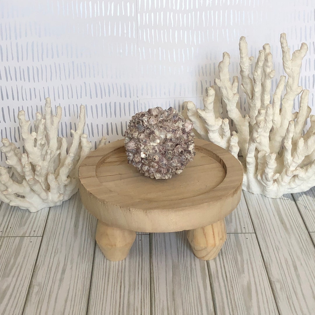 Natural Seashell Balls, Barnacle Cluster, Vase Filler Decor, Beach ...