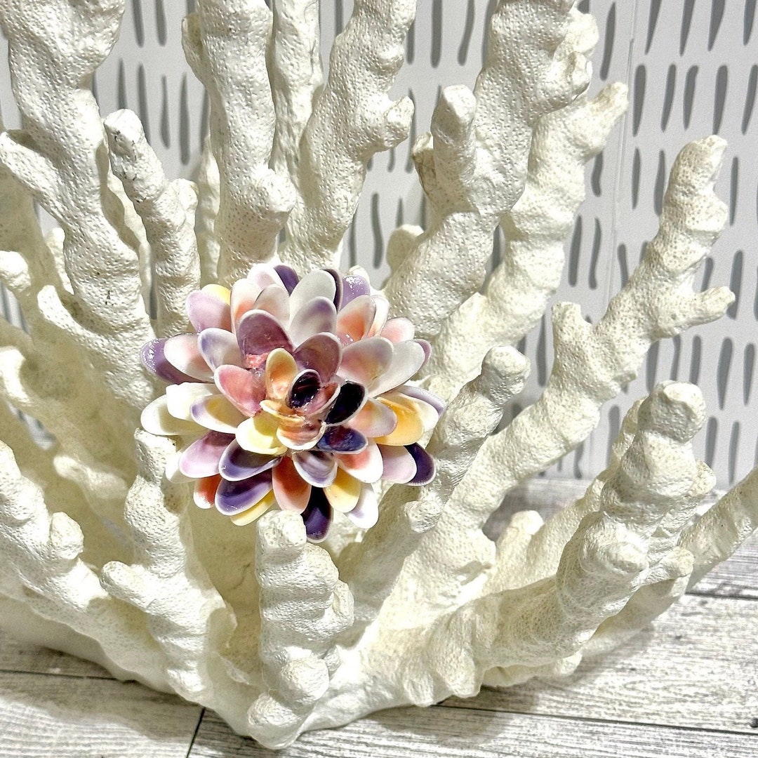 Handmade Shell Forever Flowers With Coquina Shells, Shell Art, Coastal ...