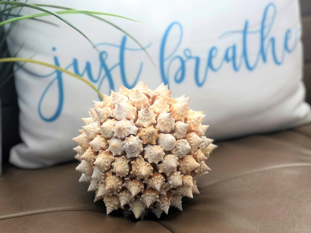 Natural Ornamental Seashell Ball - Etsy