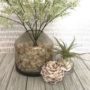 Shell Flower Balls, Jewel Box Forever Flowers, Natural Seashell Balls ...