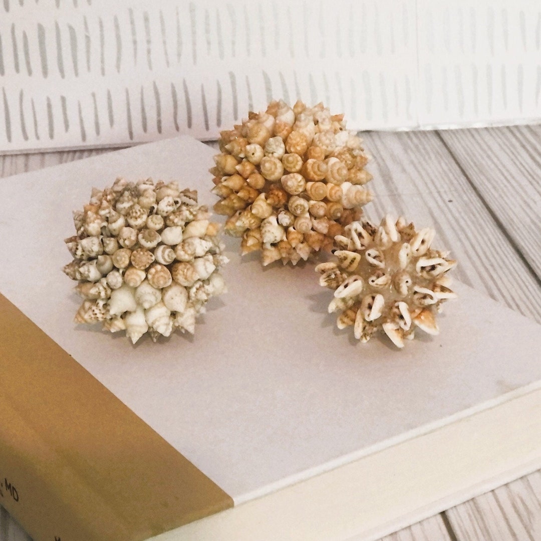 Natural Seashell Balls, Ornamental Shell Balls, Coastal Decor, Vase ...