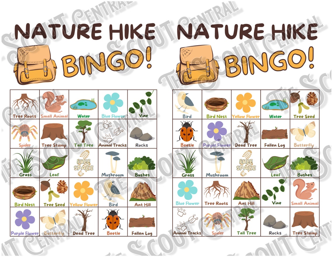 Nature Hike Games! 2 Printable Games - Etsy