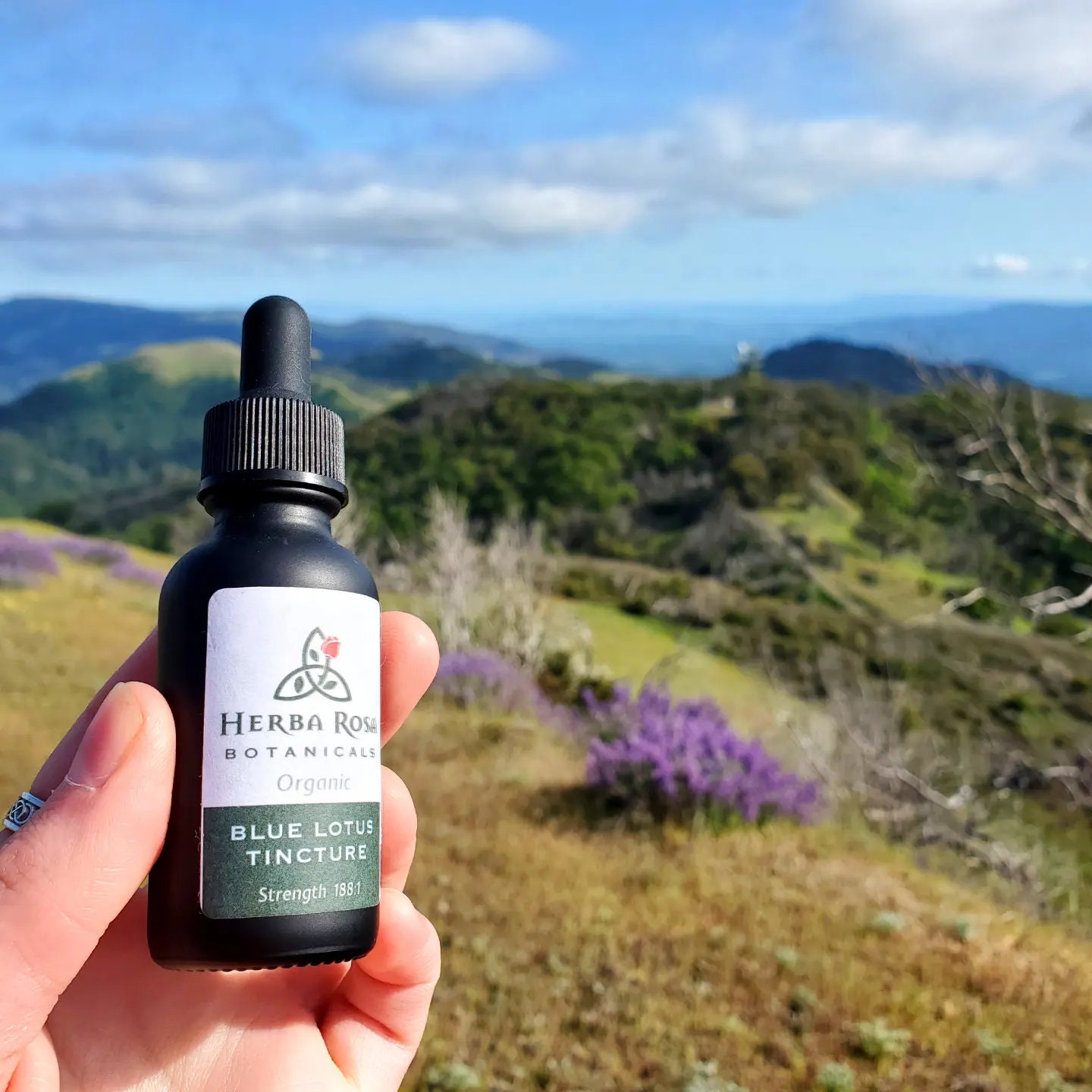 Blue Lotus Tincture alcohol-free MAX STRENGTH 188x Organic Glycerite - Etsy