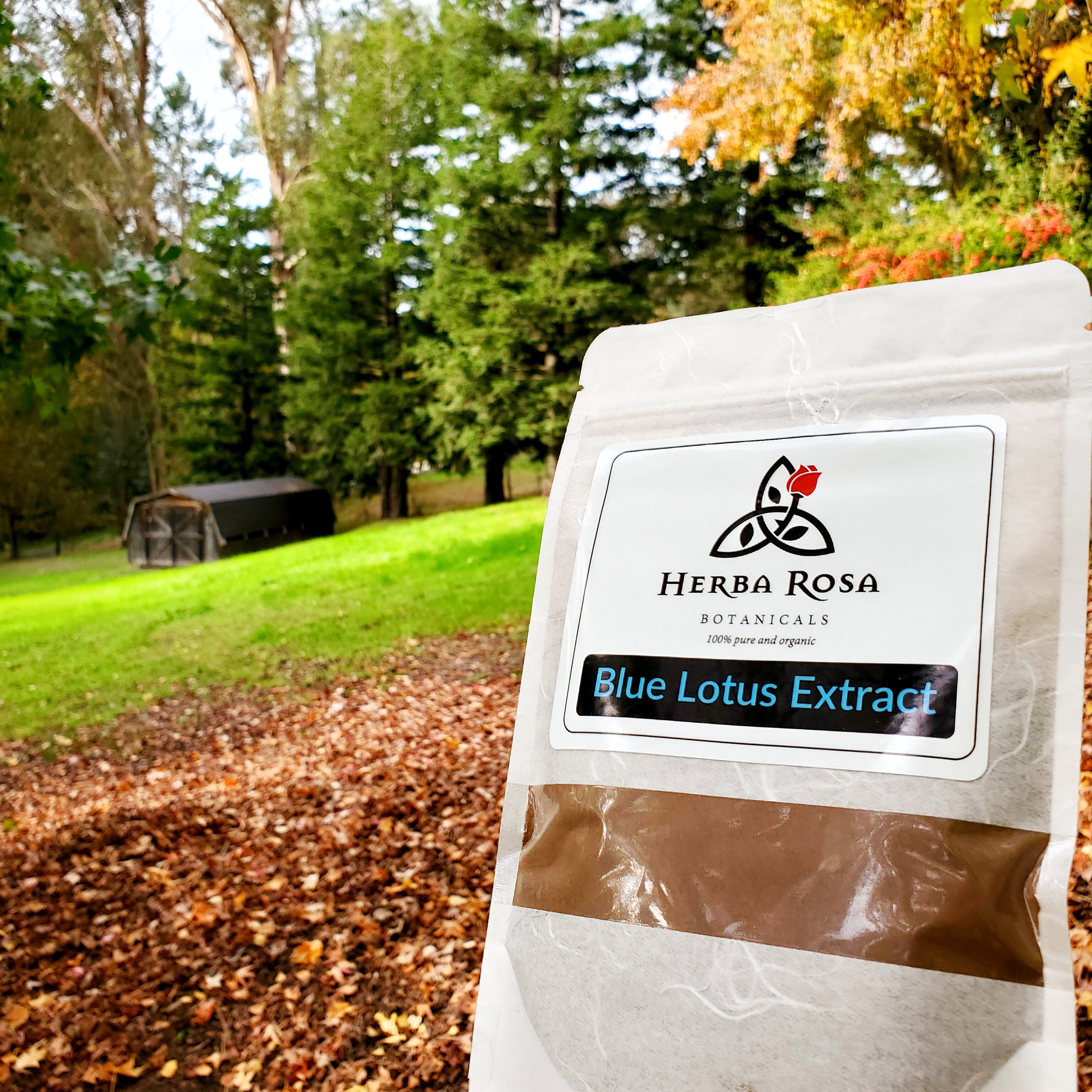 BLUE LOTUS Extract Powder 90g MAX Strength 100% Pure Organic Nymphaea ...