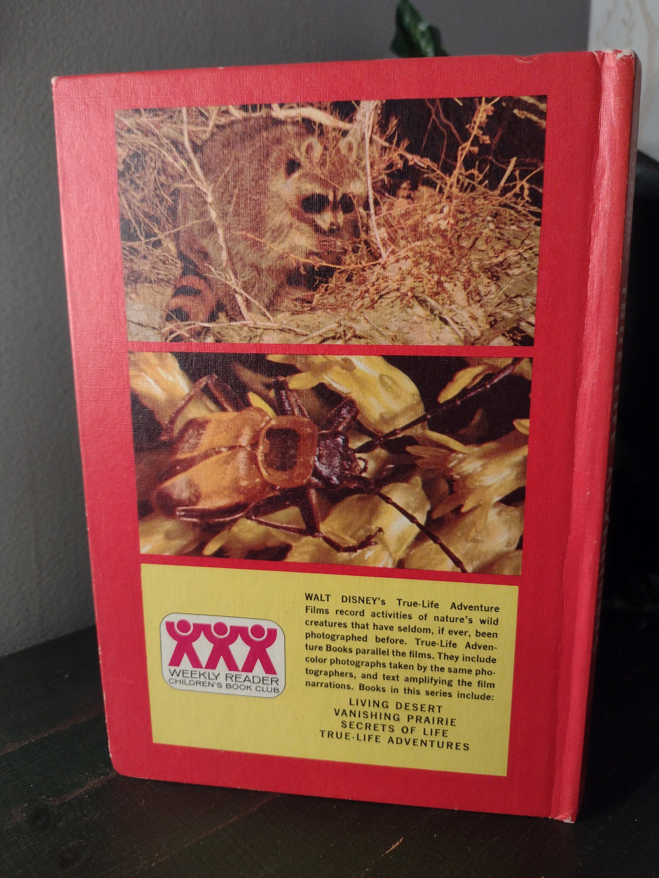 Walt Disney True-life Adventuresvintage Children's Book - Etsy